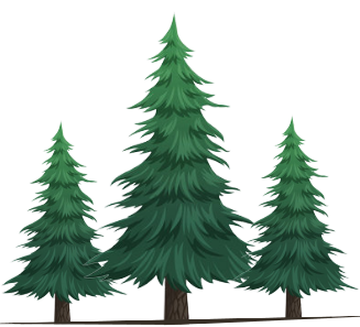 Southern Pine Expeditions